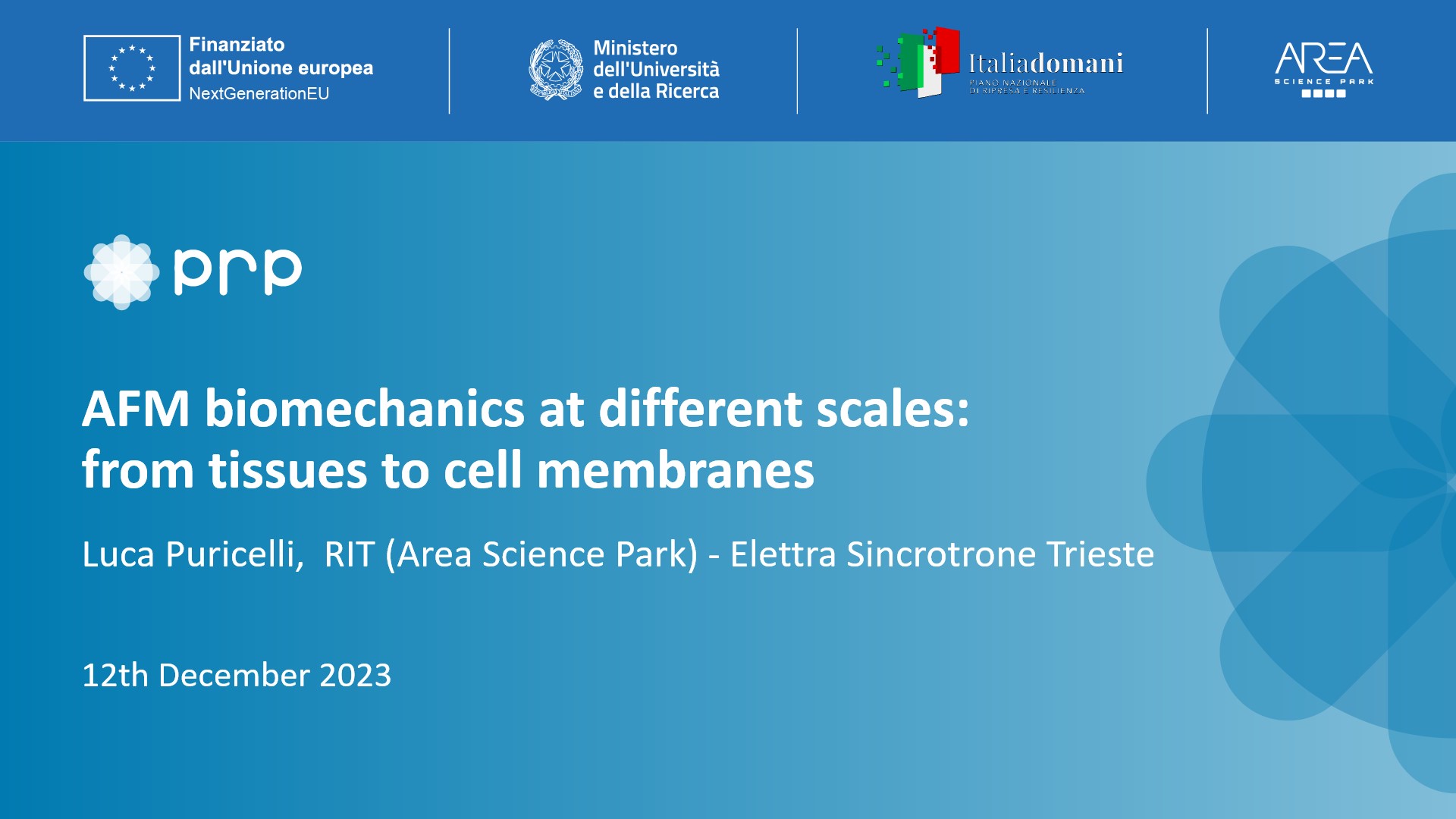 AFM biomechanics at different scales: from tissues to cell membranes ...