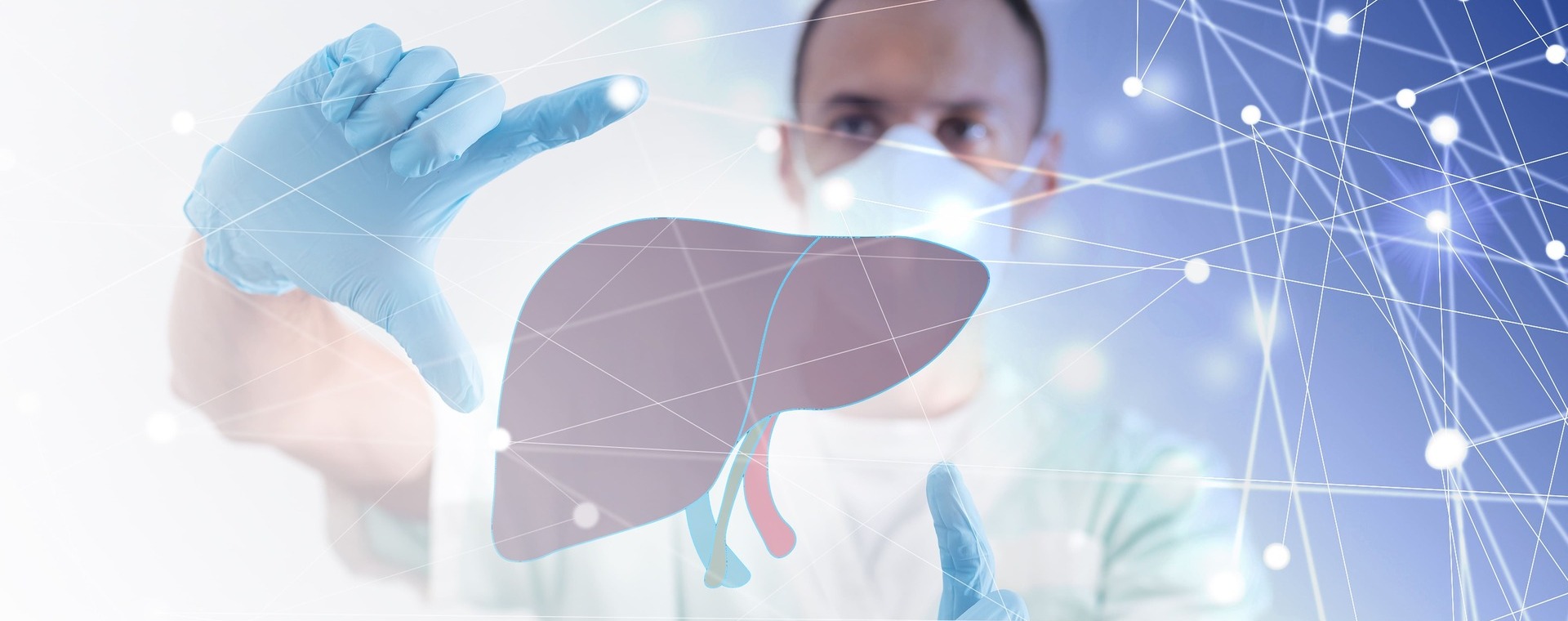 Innovation in the field of transplants: Italian research sheds light on ...